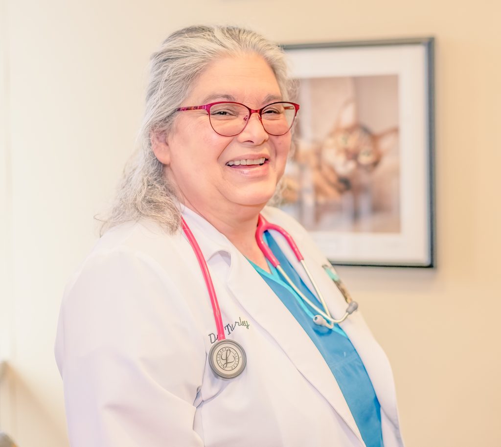Welcome to Newberry Animal Health Care Center